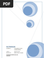LITOSOLES | PDF | Suelo | Roca (geología)
