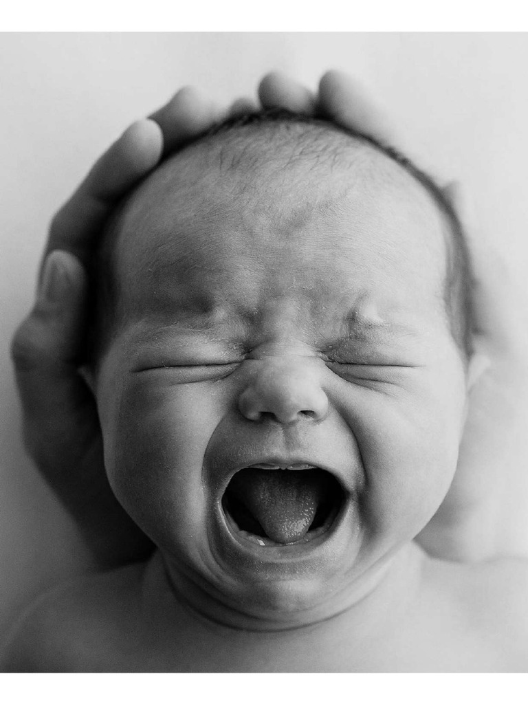 Retrato de Bebe | PDF