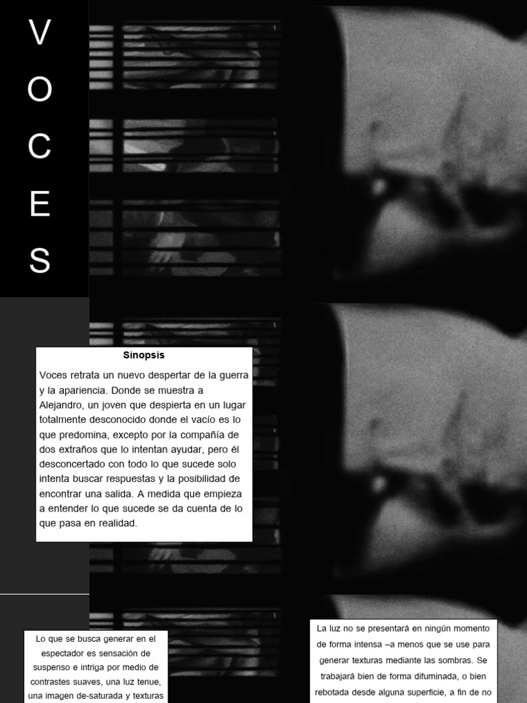 Voces: Suspenso en el Limbo | PDF