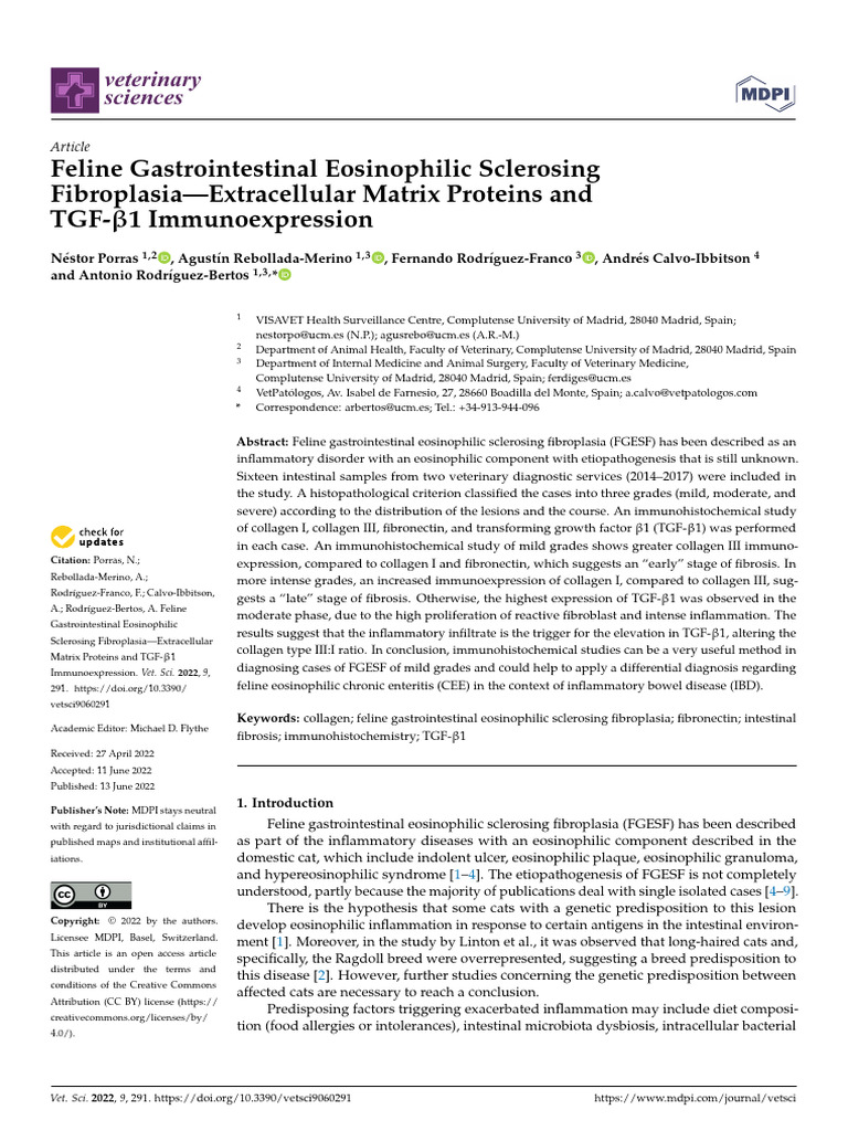 Feline Gastrointestinal Eosinophilic Sclerosing | PDF | Healing ...