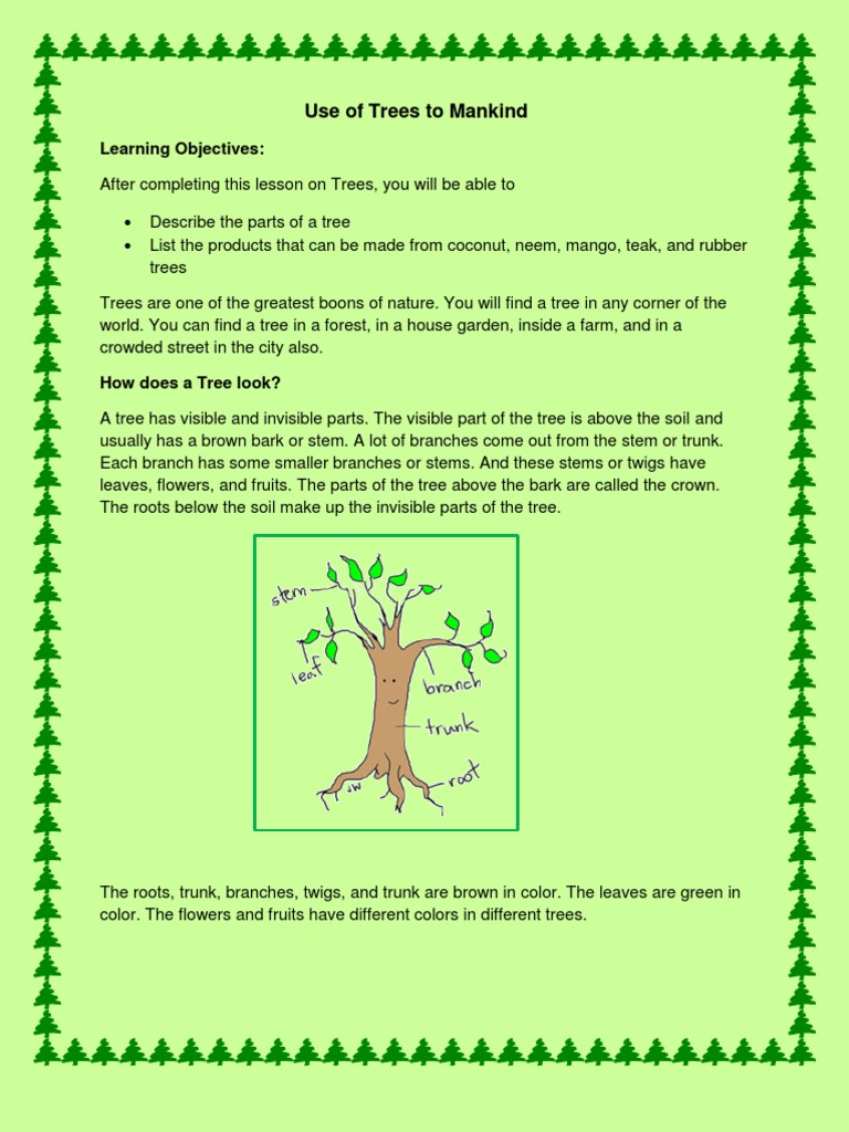 Use of Trees | PDF | Mango | Coconut