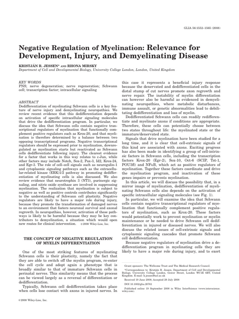 Negative Regulation of Myelination Relevance for Development, Injury ...