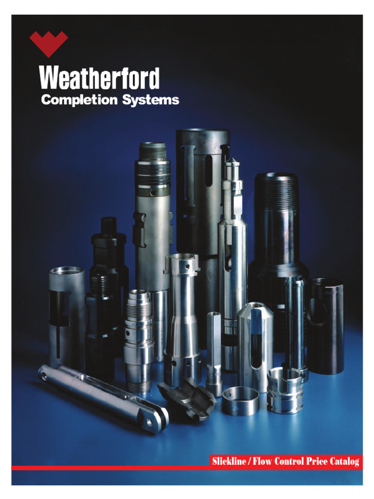 SDC Catalog 2009 | PDF