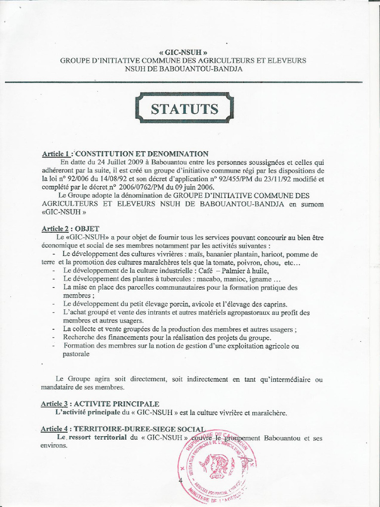 Gic Nsuh Statuts | PDF