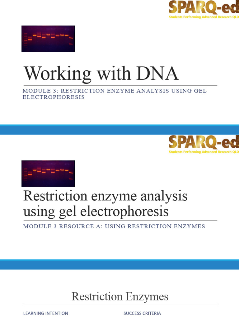 Presentation A - Using Restriction Enzymes | PDF | Restriction Enzyme | Dna