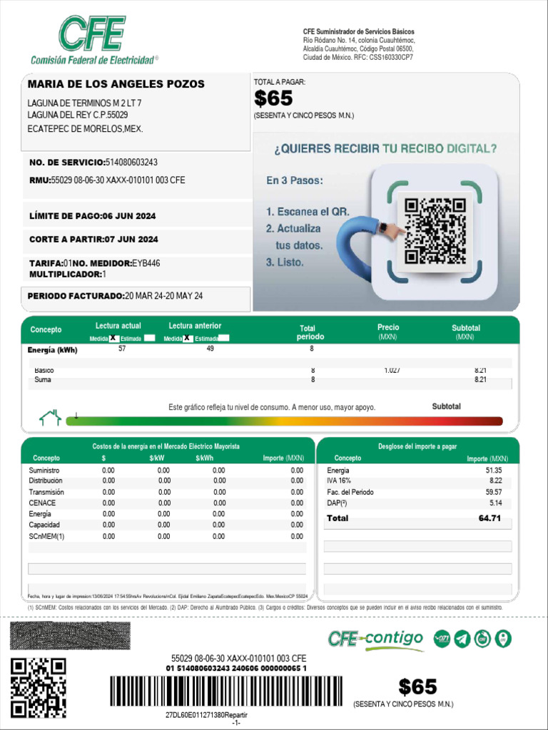 Factura CFE: Detalles de Consumo y Pago | PDF | Energia electrica