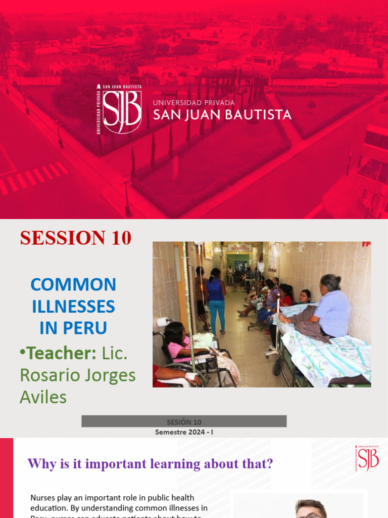 10 Common Illnesses in Peru | Download Free PDF | Yellow Fever ...