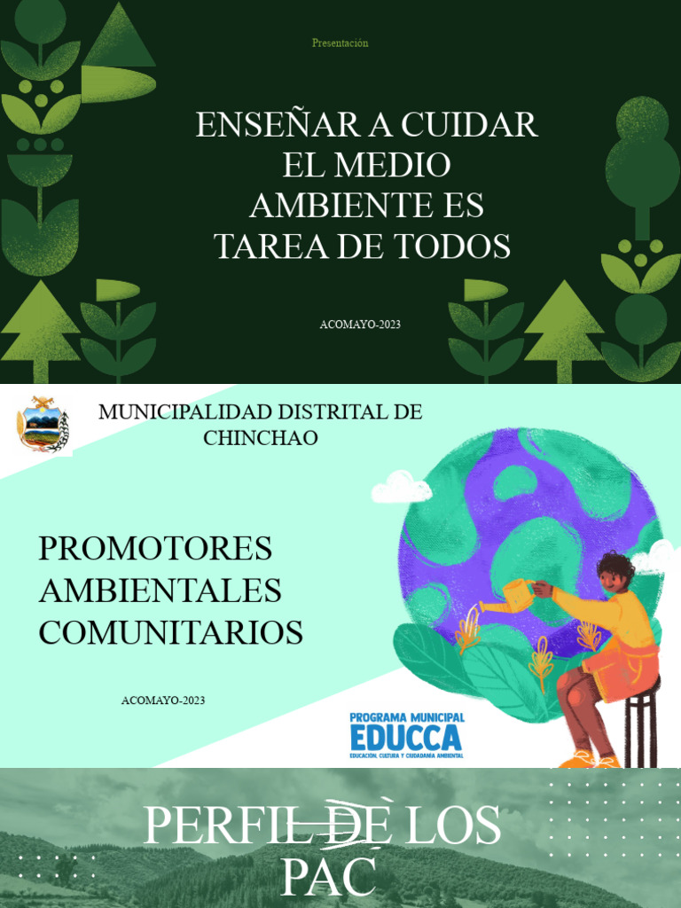 PRESENTACION PAC | PDF | Entorno natural | Contaminación