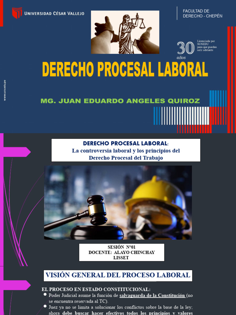 Anexo Sesion 01 | PDF | Derecho laboral | Ley procesal