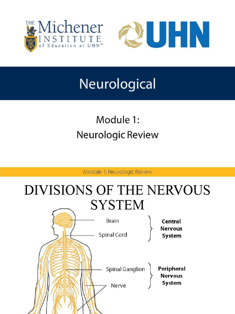 Neuro Review Slides | PDF | Axon | Myelin