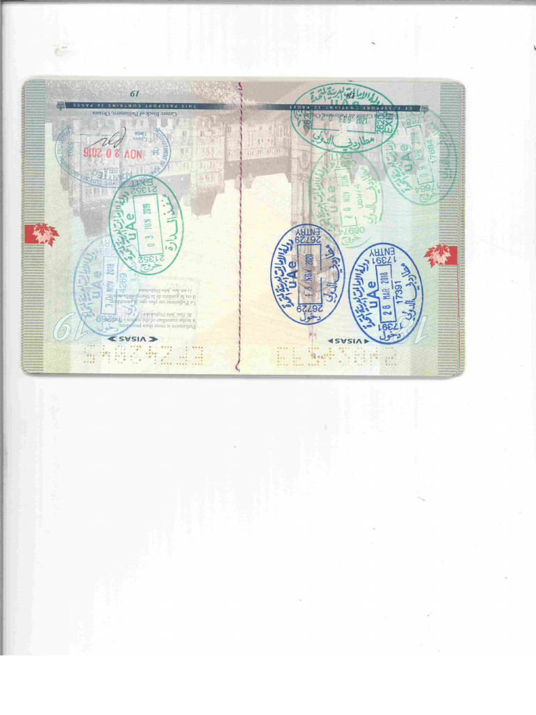 Scan (Dragged) 4 | PDF