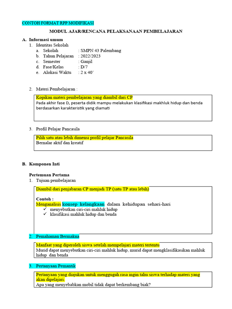 Contoh Format RPP Modifikasi | PDF