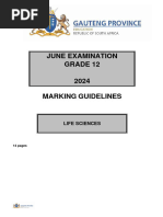 Prelim Exam Time Table Grade 12 | PDF