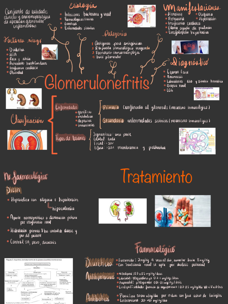 Glomerulonefritis BURGOA HDEZ ESTEFANÍA 6cm10 | PDF | Riñón | Especialidades Medicas