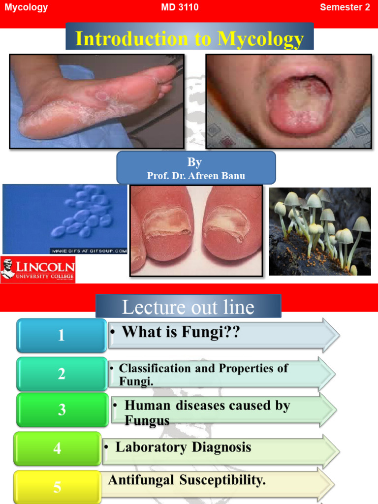 Introduction to Medical Mycology | Download Free PDF | Fungus | Biology