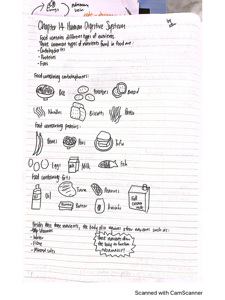 some random science notes | PDF
