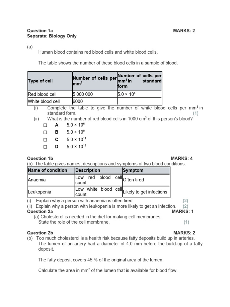 Update Bio Test | PDF | Stoma | Blood