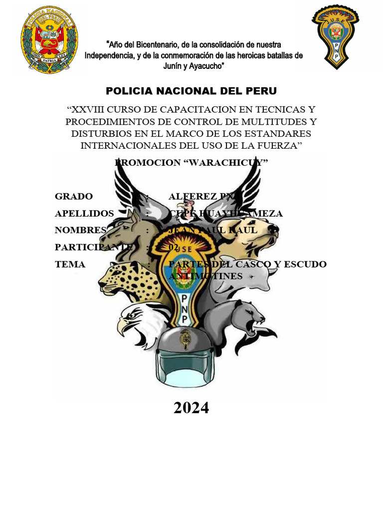 Caratula Use Xxviii | PDF