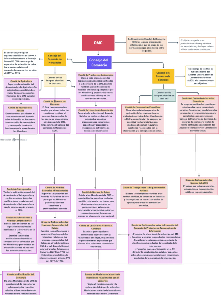 Mapa Conceptual Omc | PDF