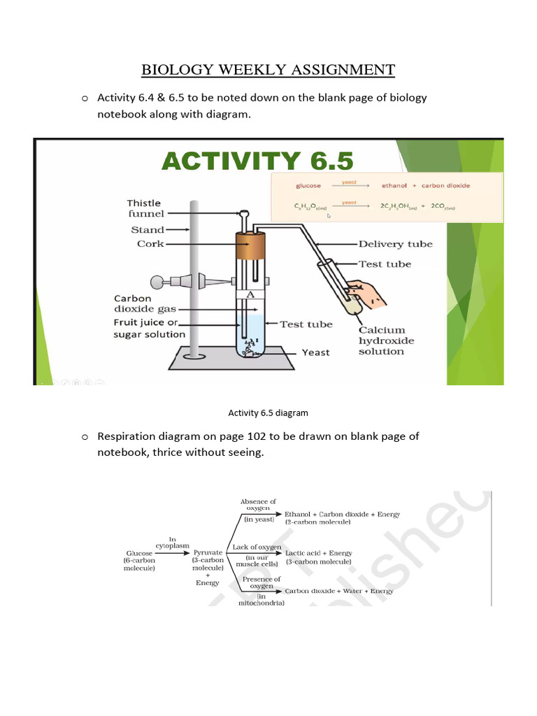 Biology Weekly Assignment | PDF | Wellness | Science & Mathematics