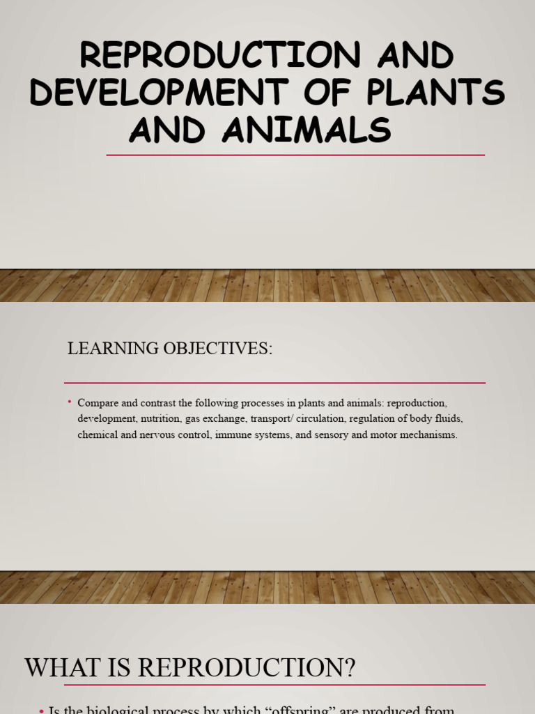 Plant and Animal Reproduction Overview | PDF | Reproduction | Fertilisation