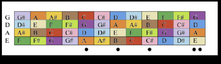 Bass Fretboard Notes | PDF