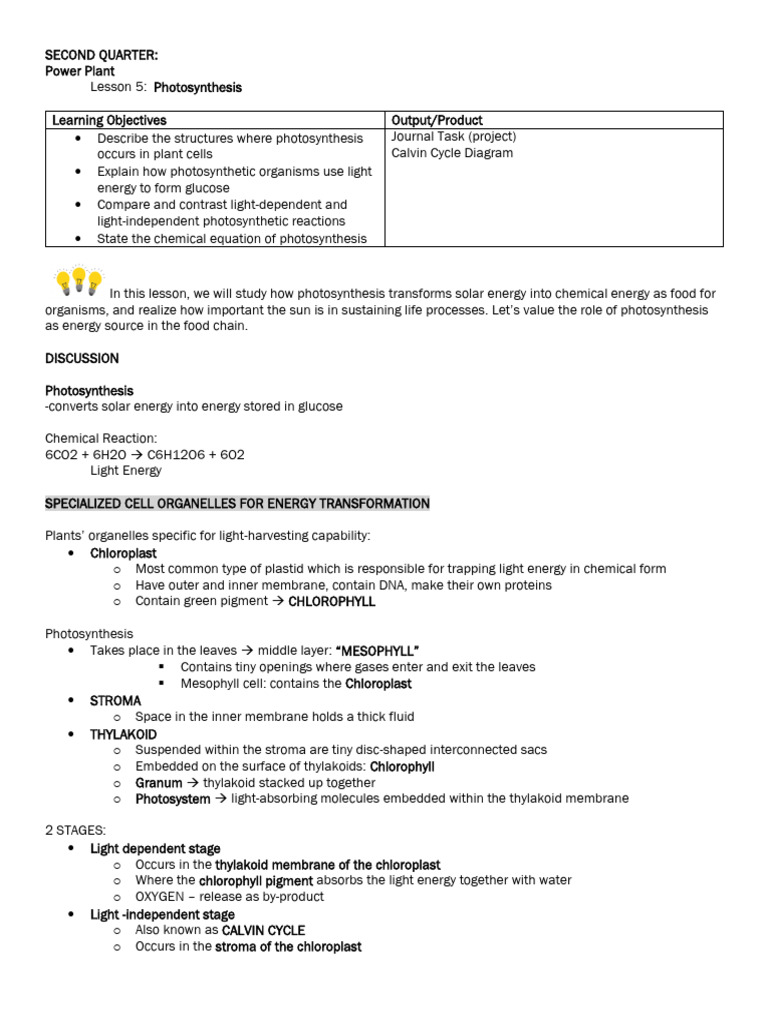 Lesson-5-Photosynthesis | PDF | Photosynthesis | Chlorophyll