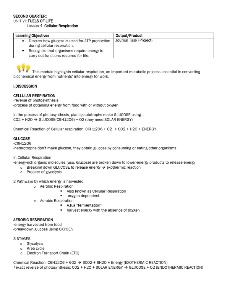 Lesson 4 Cellular Respiration | PDF | Cellular Respiration | Diet ...