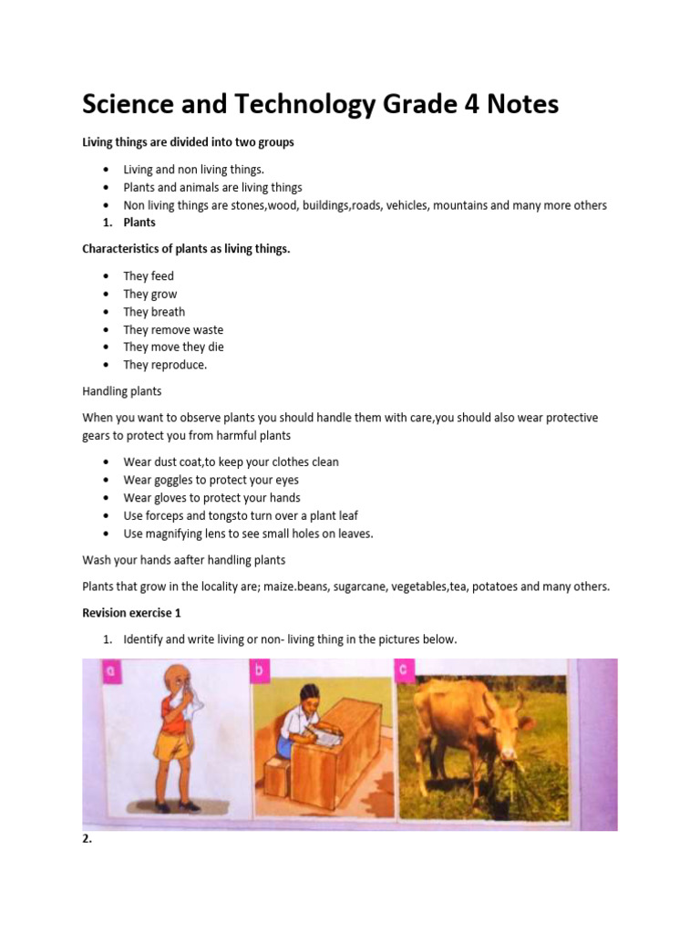 SCIENCE AND TECHNOLOGY GRADE 4 NOTES-New | PDF | Lever | Digestion