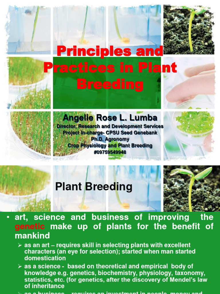 Lecture 1 Principles and Practices in Plant Breeding | PDF | Plant ...