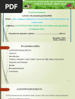 grade-11-exam-guidelines-2025 | PDF | Cellular Respiration | Kidney