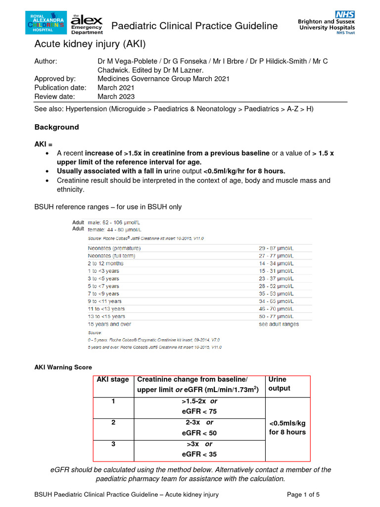 Paediatric Guidelines Acute Kidney Injury 2020 | PDF | Kidney | Medical ...