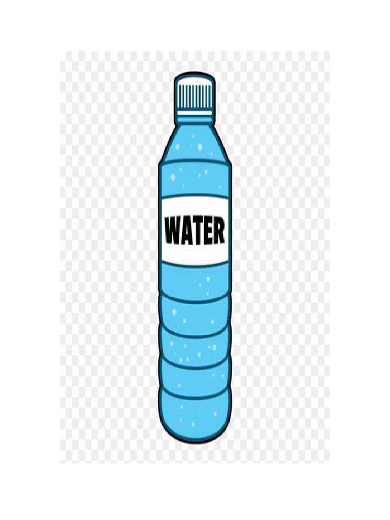Water Bottle | PDF