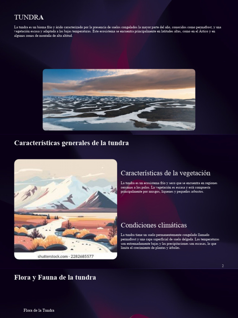 Tundra 2.0 | Descargar gratis PDF | Ciencias de la Tierra | Geografía ...