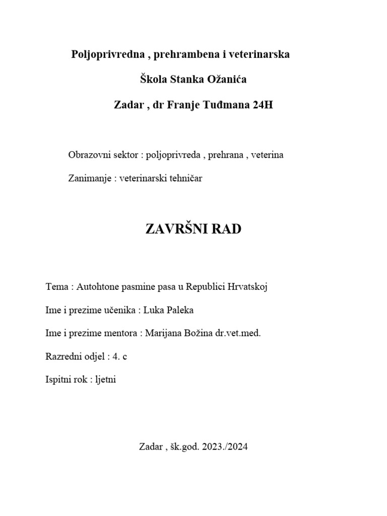 Zavrsni Rad | PDF