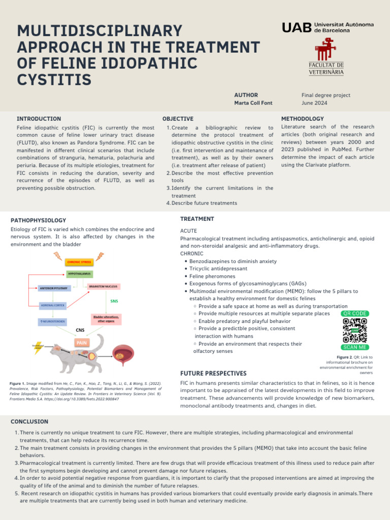 3 Coll Marta Poster Juny 2024 | PDF | Causes Of Death | Clinical Medicine