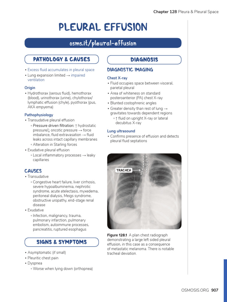 Pulmo Oral - 240511 - 003625 | PDF | Tuberculosis | Lung