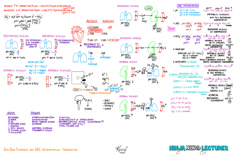 Acid Base Disorders and ABG Interpretation Introduction | PDF