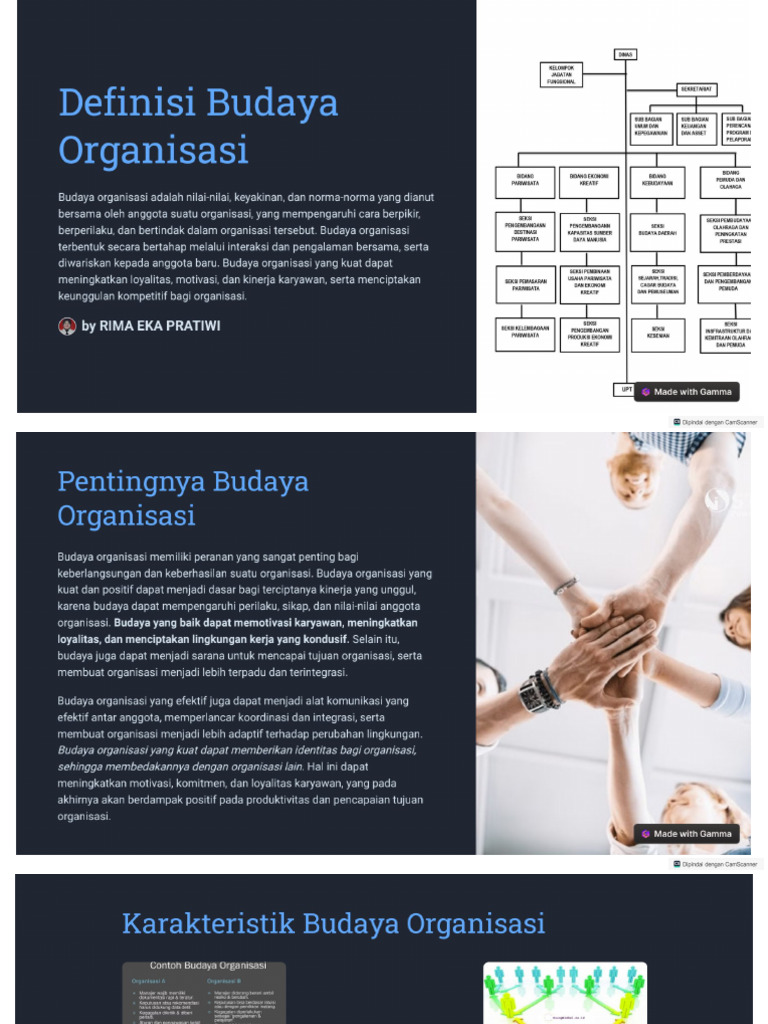 Definisi Budaya Organisasi | PDF