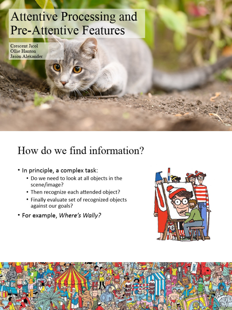 8b Pre Attentive Features Download Free Pdf Color Visual Perception