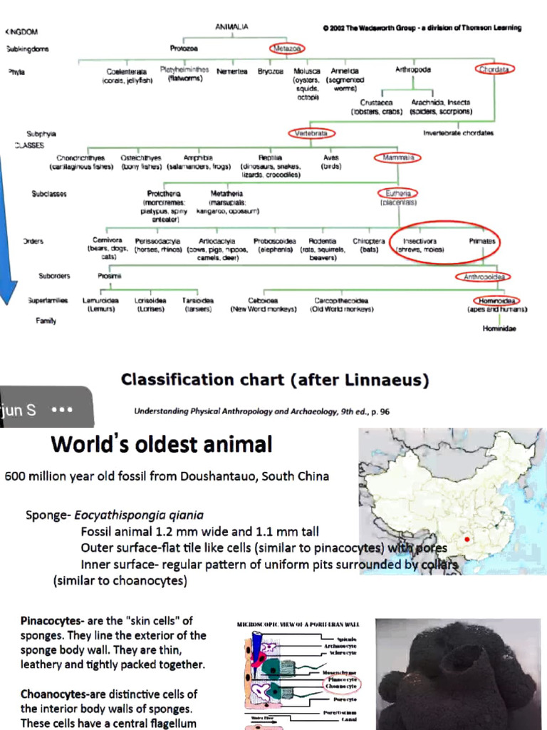 Jul 07, 2021 Evolution (MS) | PDF