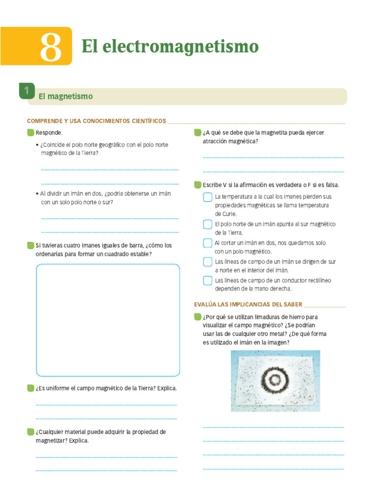 A 5º Prac Act 1 Cyt Und8 | PDF | Imán | Campo magnético