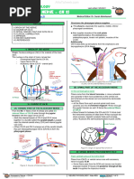 Tornier Perform Reversed Augmented Glenoid Operative Technique | PDF ...