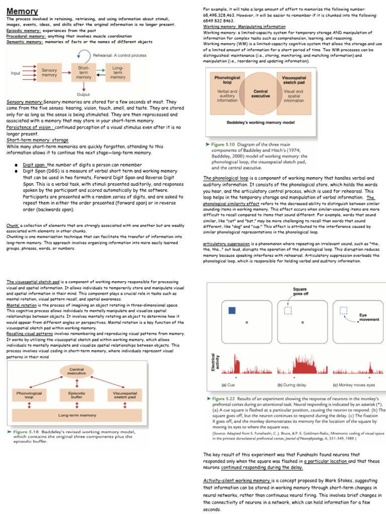 cognitive not | Download Free PDF | Memory | Recall (Memory)
