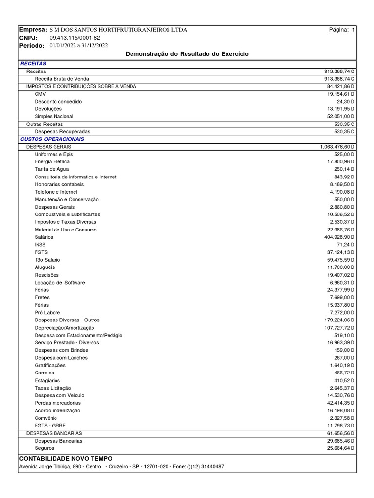Relatoriodre - Modelo2 - Anual - 01 - 12 - 2022 - SM | PDF | Business | Contabilidade