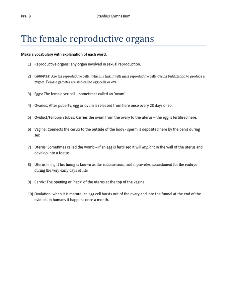 The Female Reproductive Organs - Vocabulary | PDF