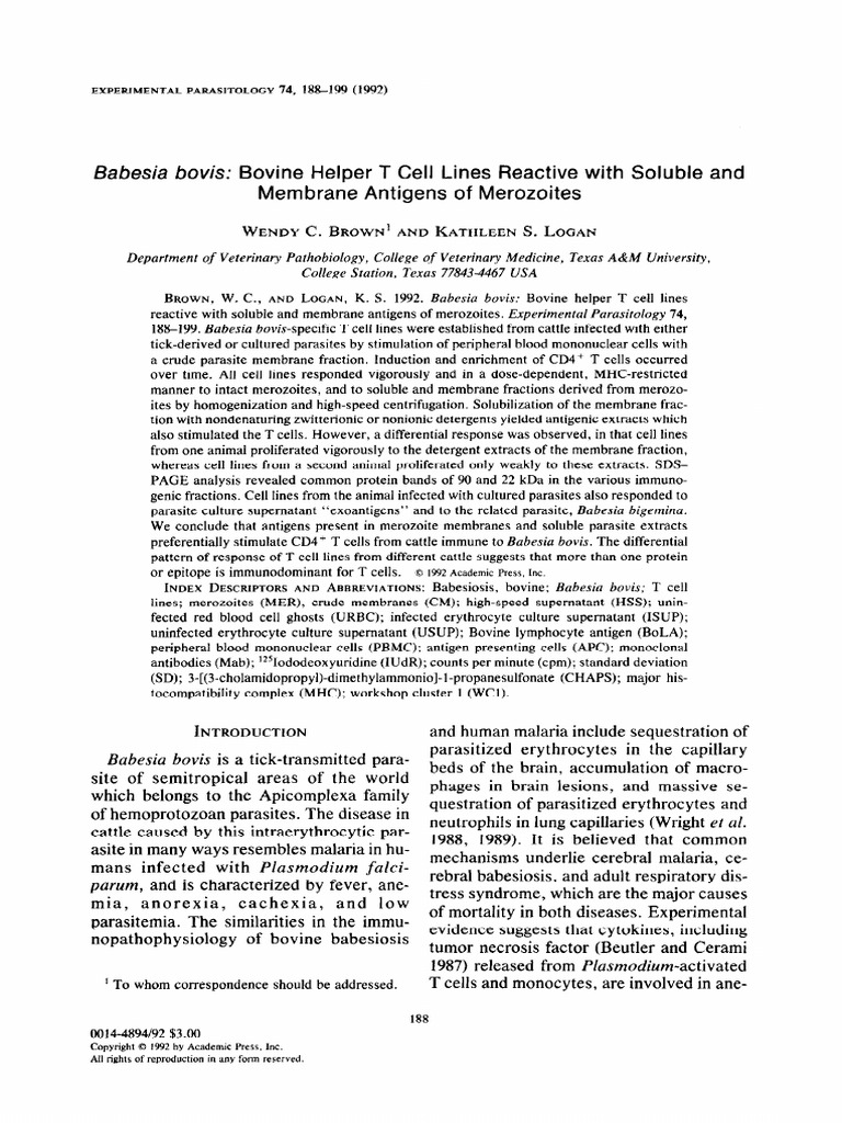 Babesia Bovis Bovine Helper T Cell Lines Reactive | PDF | T Cell | Immune System