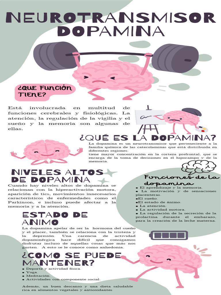 Infografía sobre la dopamina | PDF