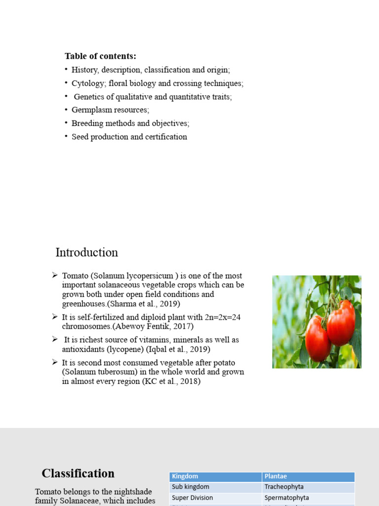Origin, Cytogenetics, Floral Biology and Breeding Method of Tomato | PDF | Plant Breeding | Tomato