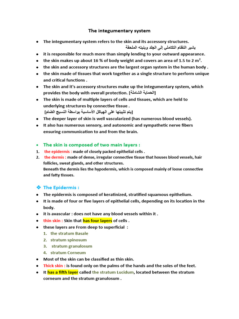 Understanding the Integumentary System | PDF | Integumentary System | Skin